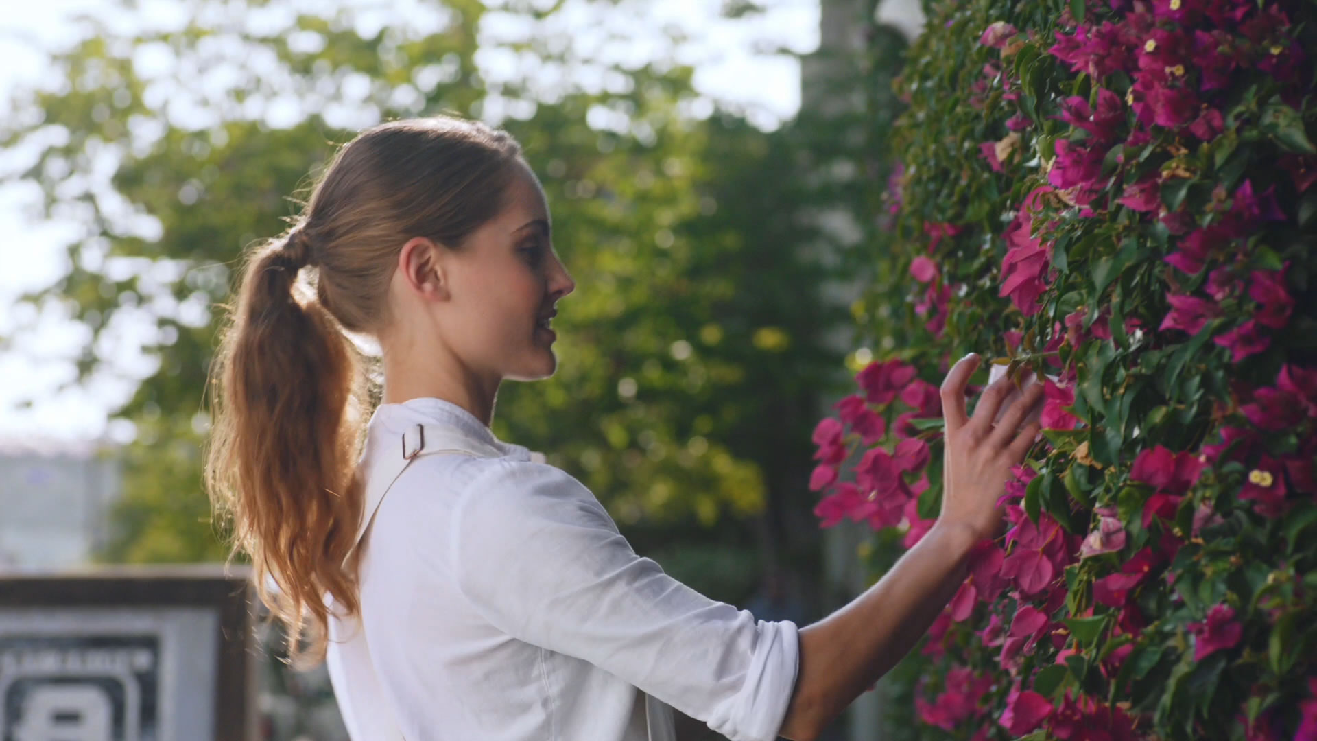 Palette Cube - Your Colors, Your Way